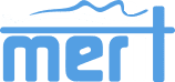 Merit Home UK | Shop handmade lighting, clock and more online
